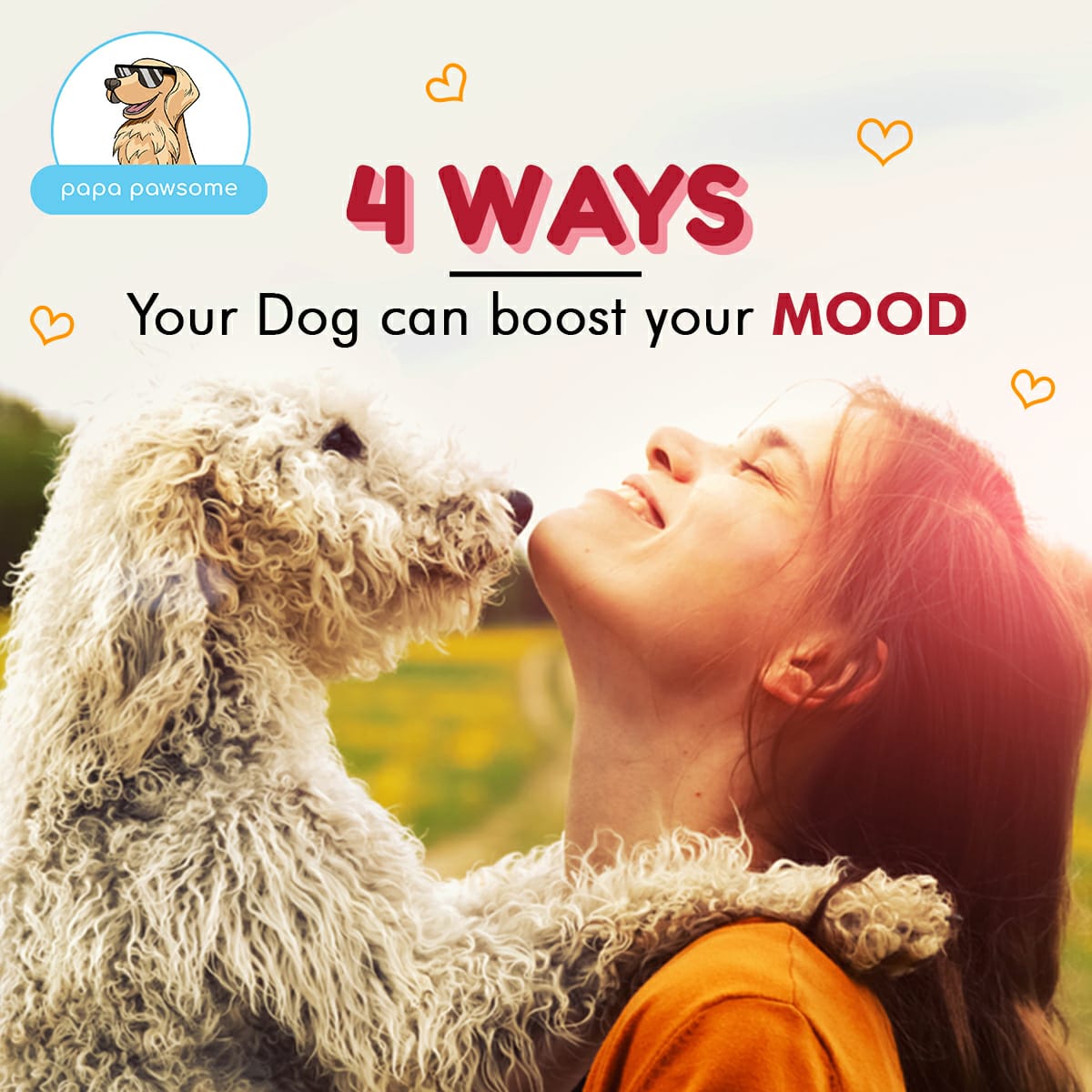 4 ways your dogs can boost your mood – Papa Pawsome